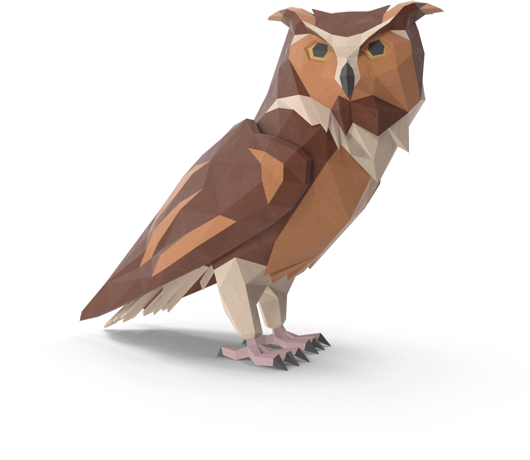 Download Profile Photo - Eastern Screech Owl - ClipartKey