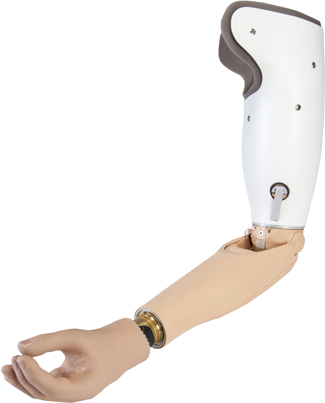 Download Transparent Prosthetic Leg Clipart - Dynamic Arm - ClipartKey