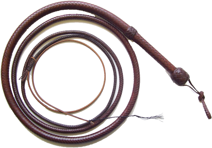 Download Transparent Bullwhip Clipart - Whip Png - ClipartKey