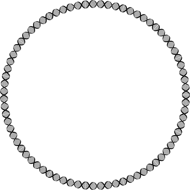 Download Transparent Infinity Clipart - Circle Border Design ...