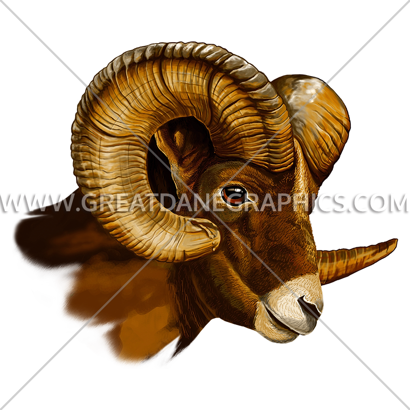 Download Side View Production Ready - Ram Head Side View - ClipartKey
