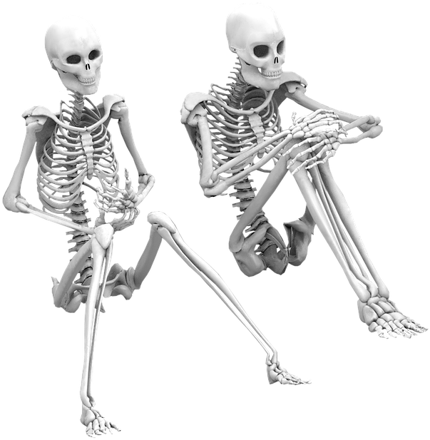 Download Skeleton Sitting Transparent , Transparent Cartoons ...