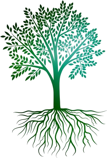 Download Twisted Tree Roots Png Transparent Images - Tree With Roots ...