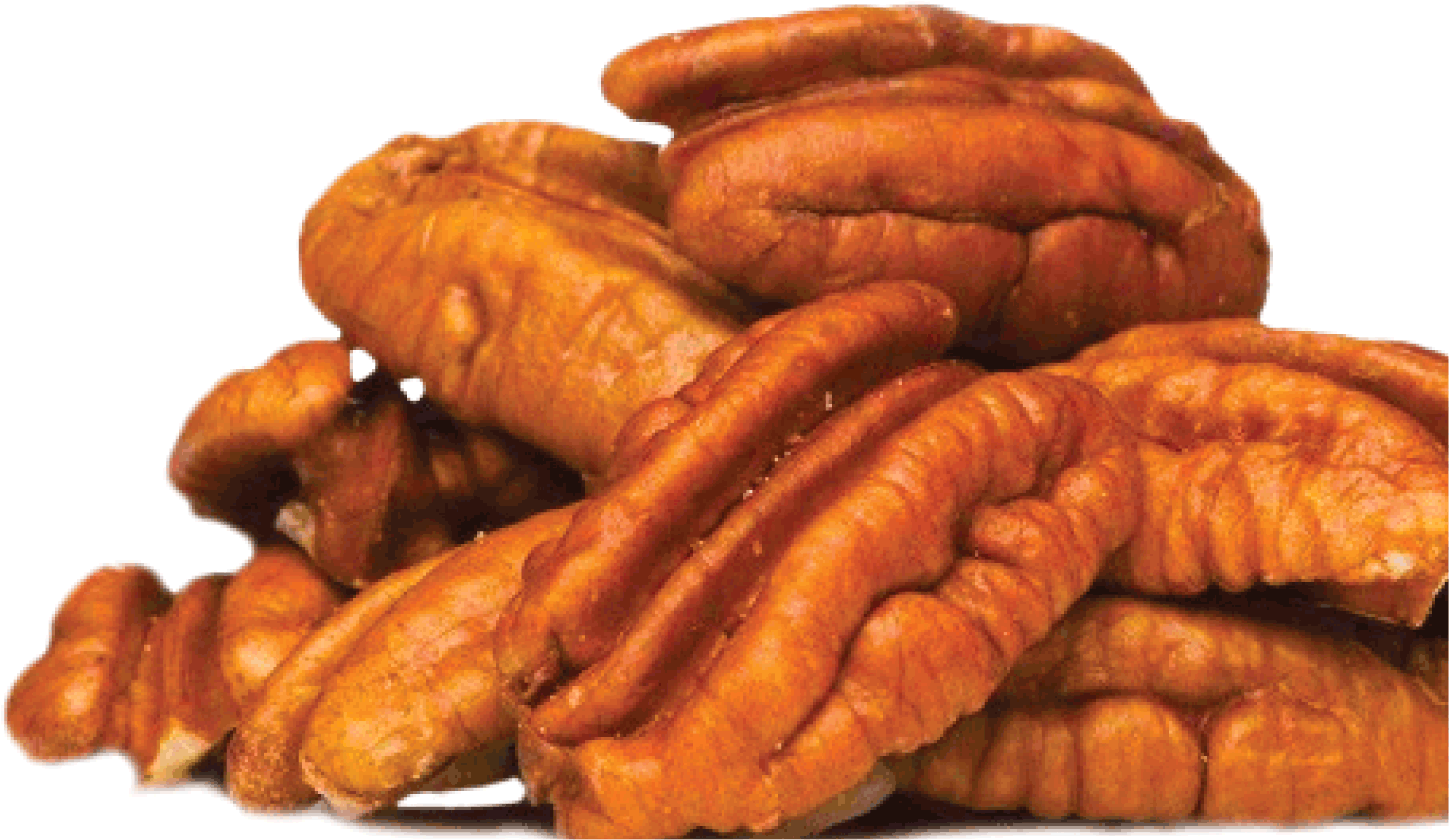 Download Transparent Pecan Png - Pecans Png - ClipartKey