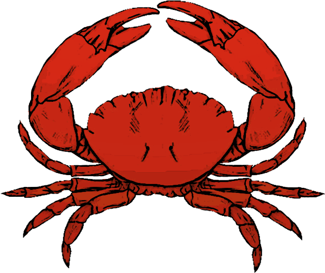 Download Transparent Background Crab Clipart - ClipartKey