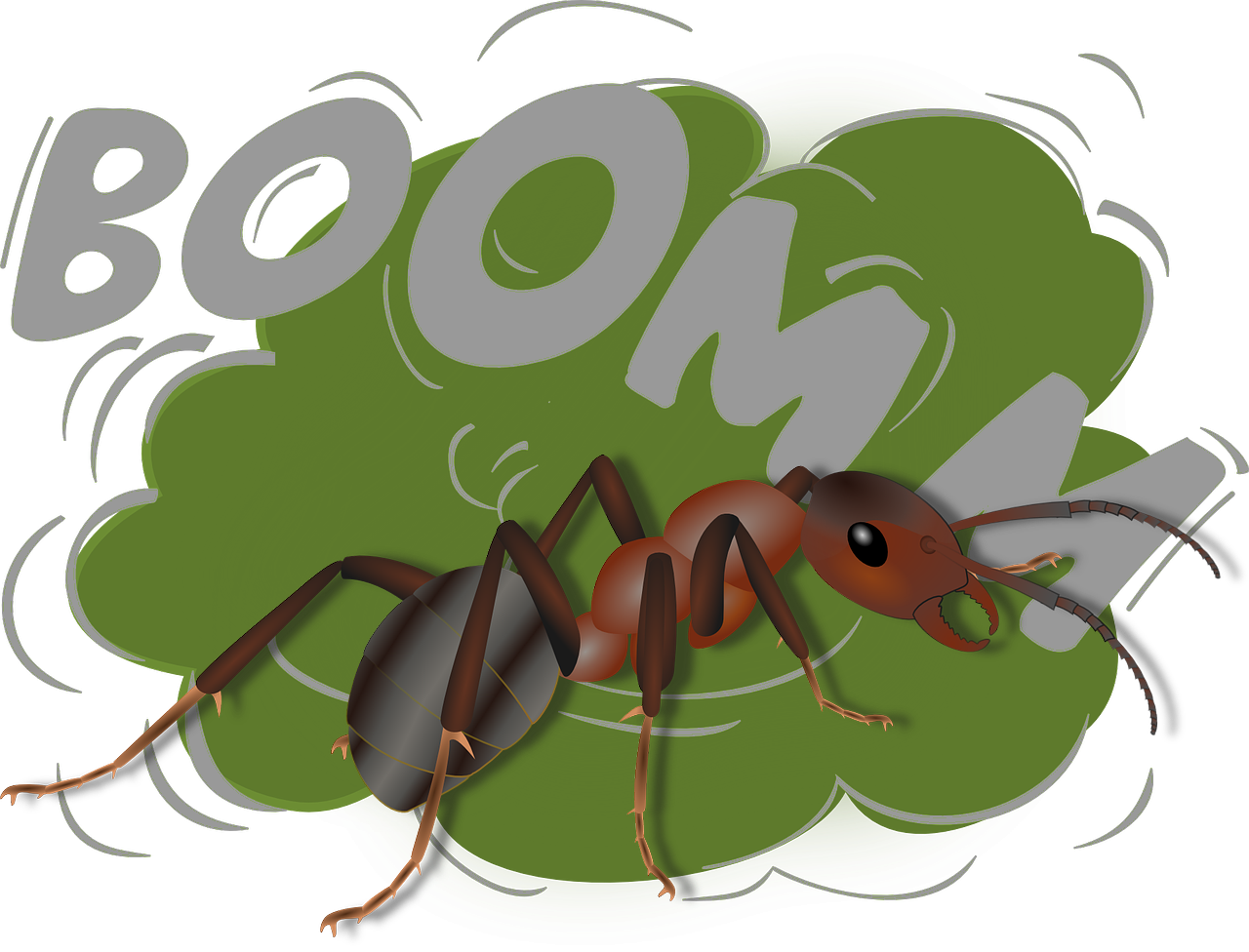 Download Jodi Ralston Exploding Ant Camponotus Saundersi - Clipart Bomb ...
