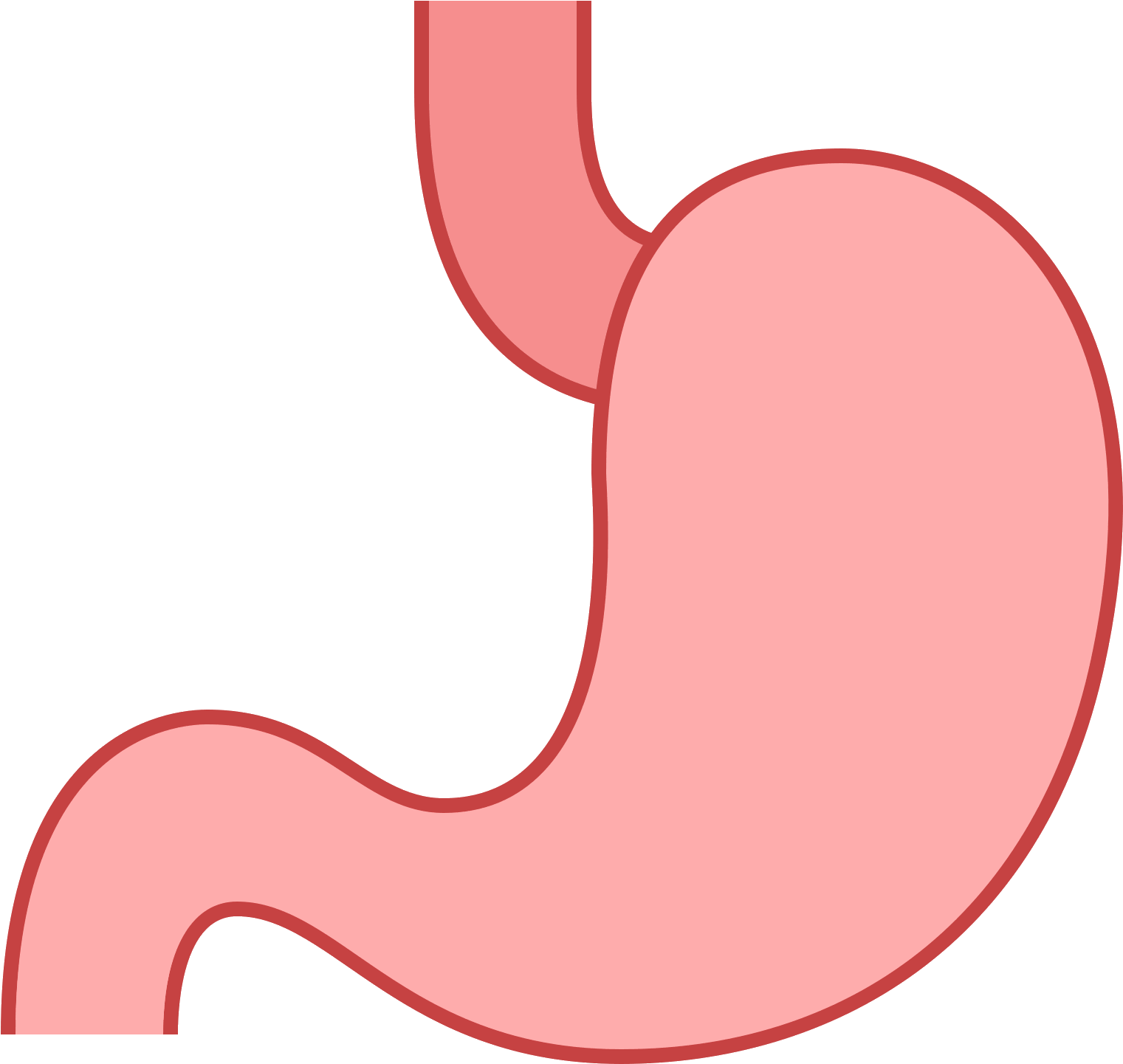 Download Transparent Stomach Clipart - Stomach Icon - ClipartKey