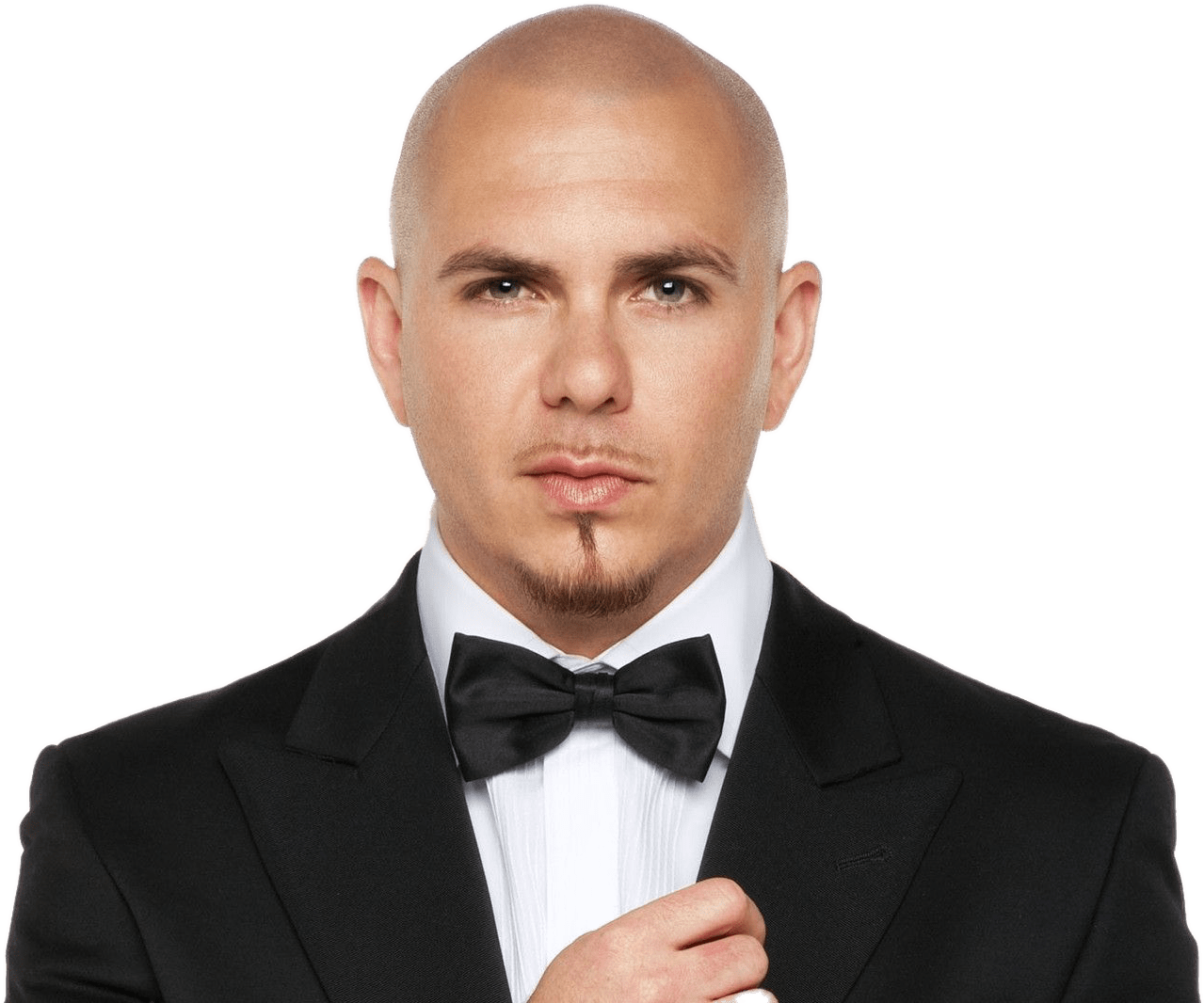 Download Pitbull With Bow Tie - Pitbull Singer - ClipartKey