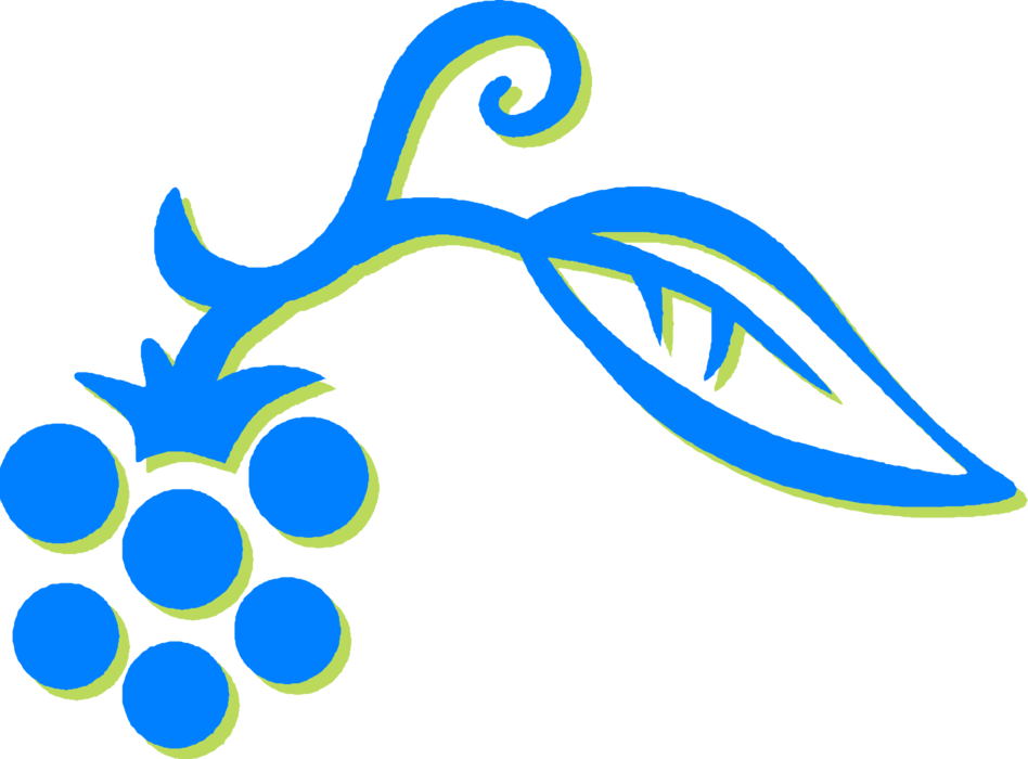 Download Vector Illustration Of Bramble Fruit Raspberry Edible - ClipartKey