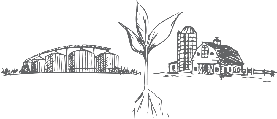 Download Transparent Cash Crop Clipart - Cash Crop Farming Drawing ...