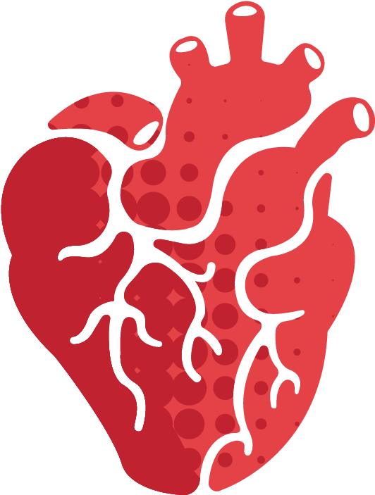 Download Follow Your Heart Cardiac Anatomy Heart Illustration - ClipartKey
