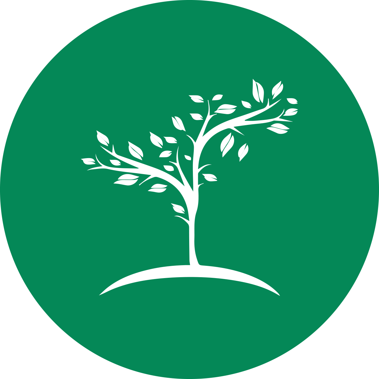 Download Ecological Foundations - Ecology - ClipartKey