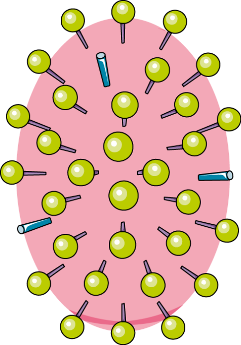 Download Transparent Background Disease Clipart - ClipartKey