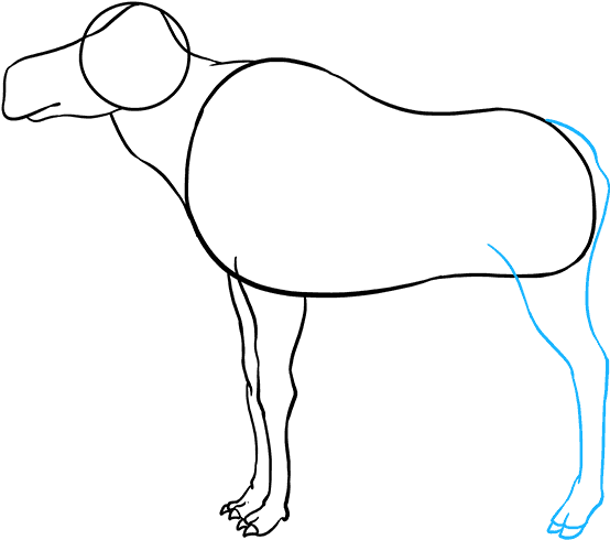 Download How To Draw Moose - Line Art - ClipartKey