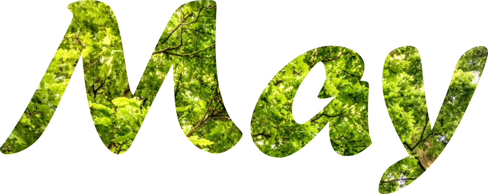 Download May Month Clip Art - Clip Art May Transparent Background ...