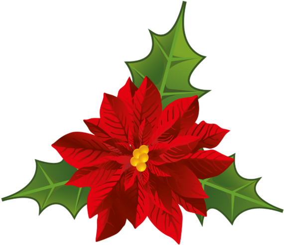Download Poinsettia Flower Christmas Clip Art - Christmas Flower Png ...