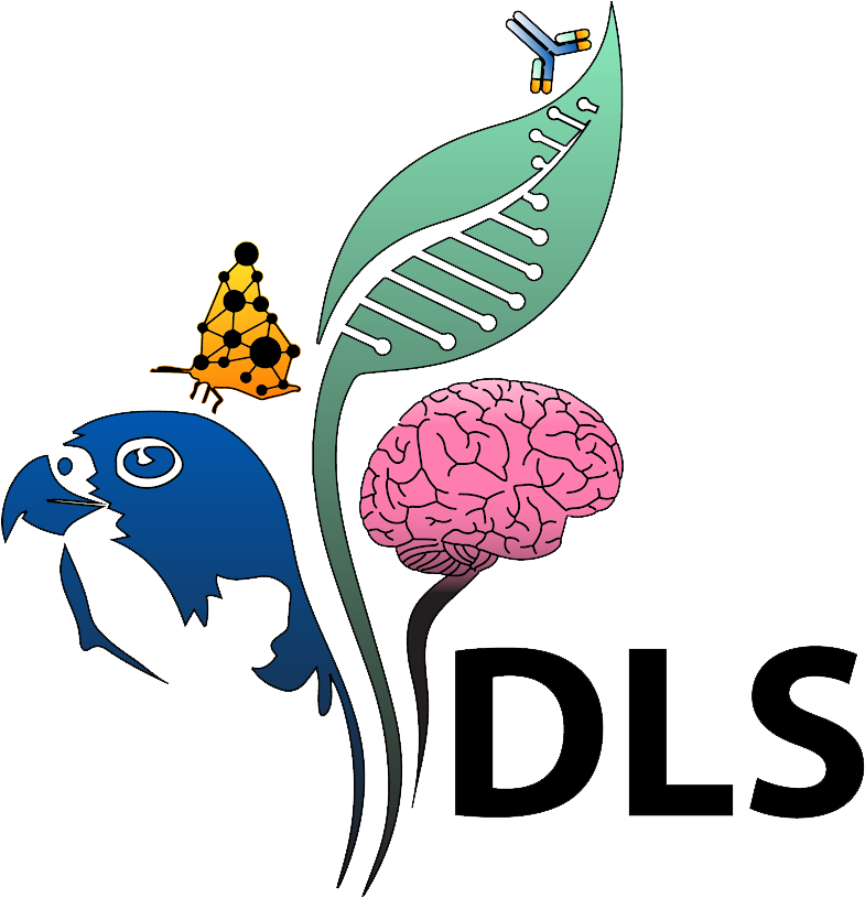 Download Illustration - ClipartKey