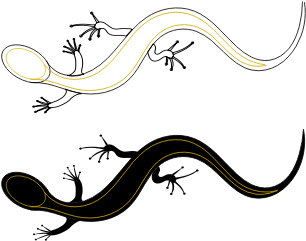 Download Vector Graphics Of Lizards - Illustration - ClipartKey