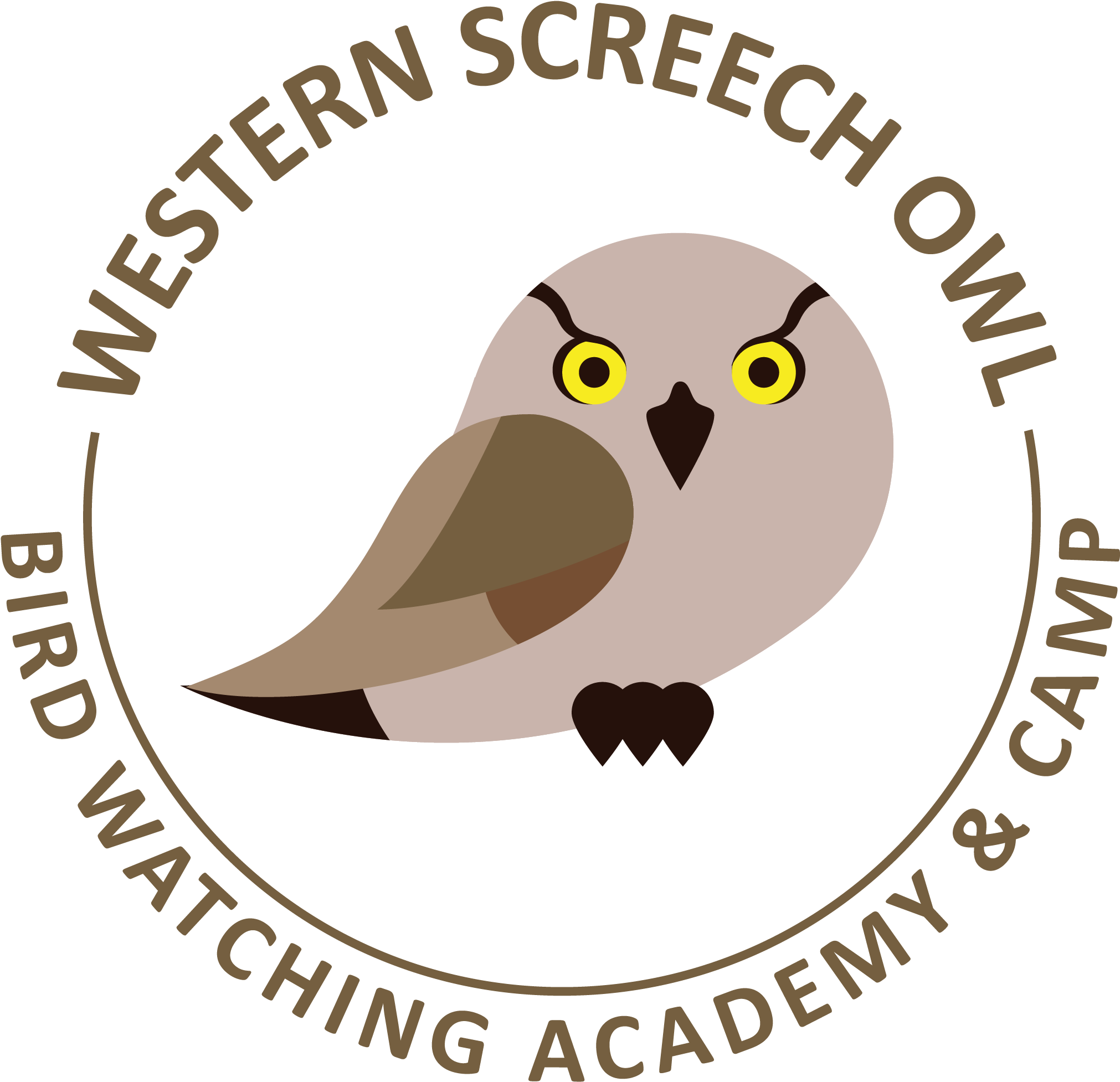 Download Western Screech Owl Picture - Gloucestershire County Cricket ...