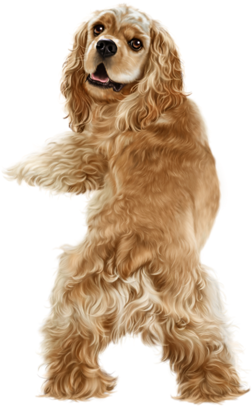 Download Happy Friday - Cocker Spaniel Png - ClipartKey