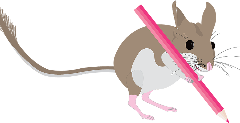 Download Kangaroo Rat Clipart - ClipartKey