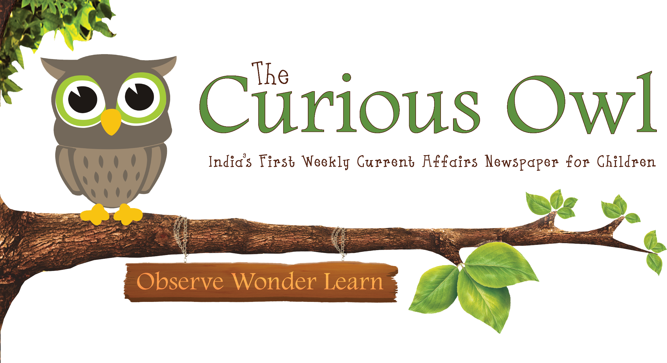 Download Logo - Curious Owl Newspaper - ClipartKey