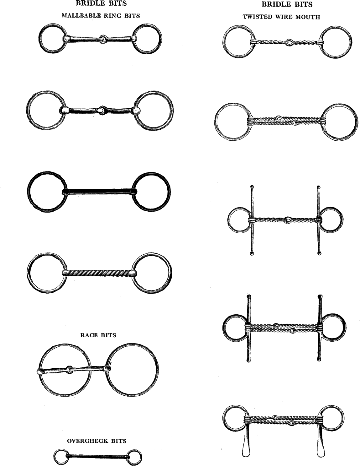 Download Transparent Horse Bit Clipart - Horse Bit Clipart - ClipartKey