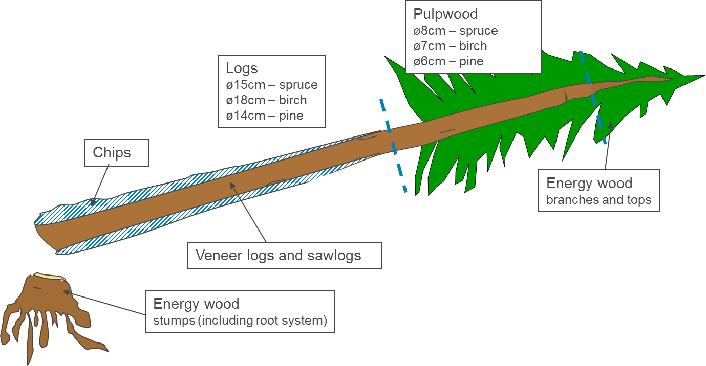 Download Treediagram - Tree To Timber Diagram - ClipartKey