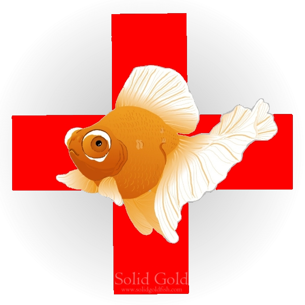 Download Fish First Aid - ClipartKey