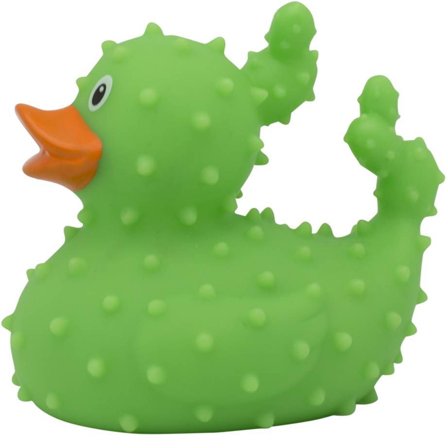 Download Cactus Duck By Lilalu Shop Ducks - Duck - ClipartKey