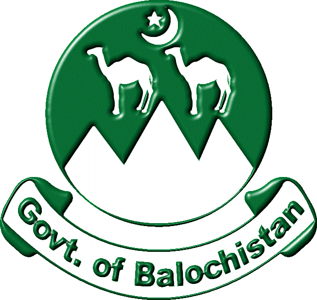 Download Government Of Balochistan Monogram - Govt Of Balochistan Logo ...