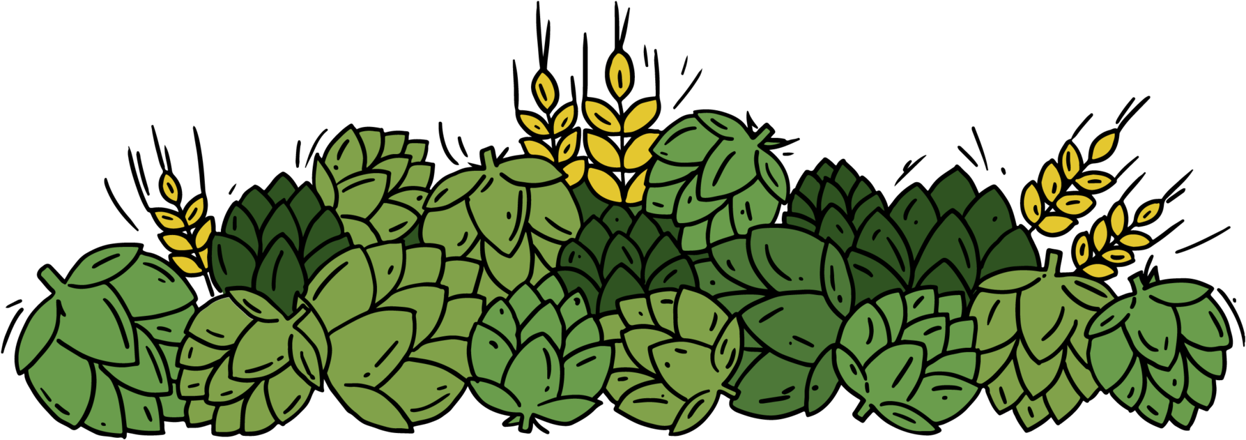 Download Hops Clipart Beer Ingredient - Illustration - ClipartKey