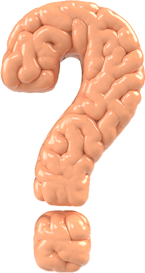 Download Question Mark Brain Clipart - Question Image With Brain ...