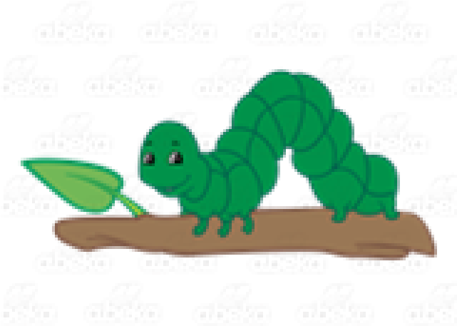 Download Inchworm Clipart - ClipartKey