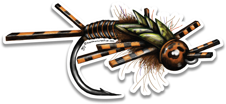Download Bozeman Creative Stonefly Nymph Sketch Sticker - Stonefly ...