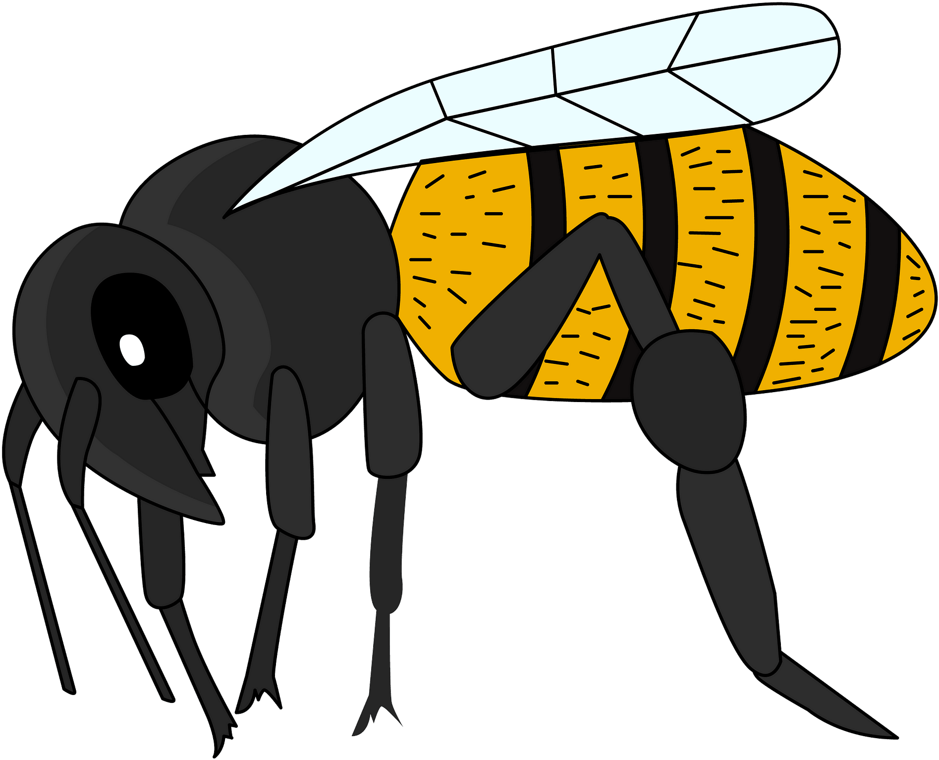 Download Bumblebee - ClipartKey