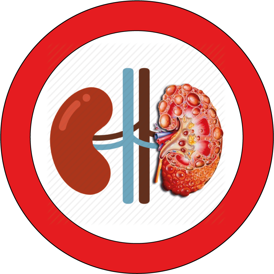 Download Transparent Kidneys Clipart - Bottled Water Free Day - ClipartKey