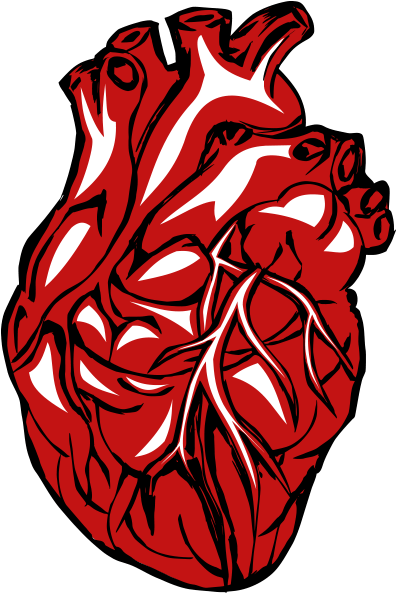 Download Real Heart Png Clipart - Transparent Background Real Heart ...