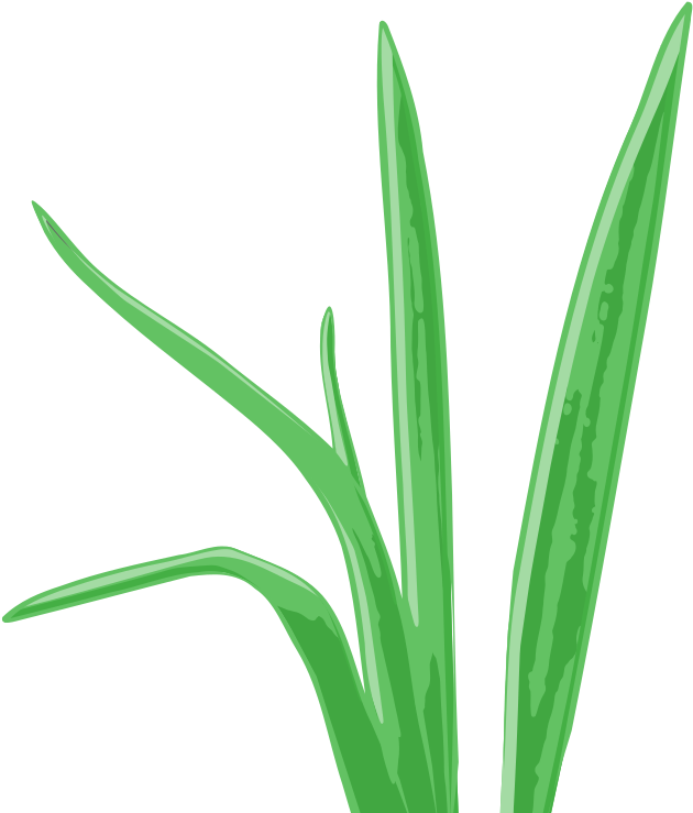 Download Tropical Grass Aquarium Plant Grass Vector, Royalty - Grass ...
