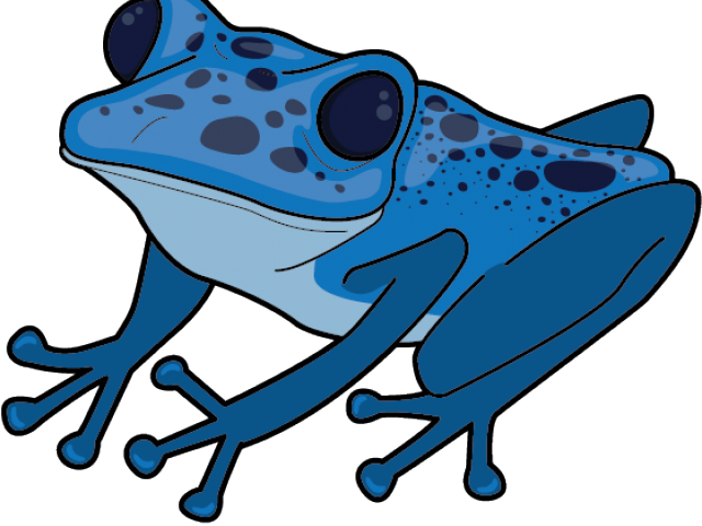 Download Transparent Blue Frog Png - Poison Dart Frog Clip Art - ClipartKey