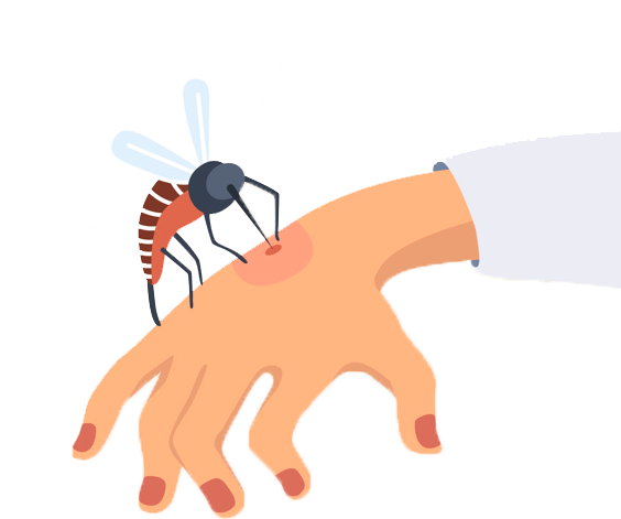 Download Bug Bite - Mosquito Bite Clipart Png - ClipartKey
