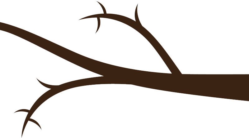 Download Tree Limb Clipart Clipground - Tree Branch Png Clipart ...