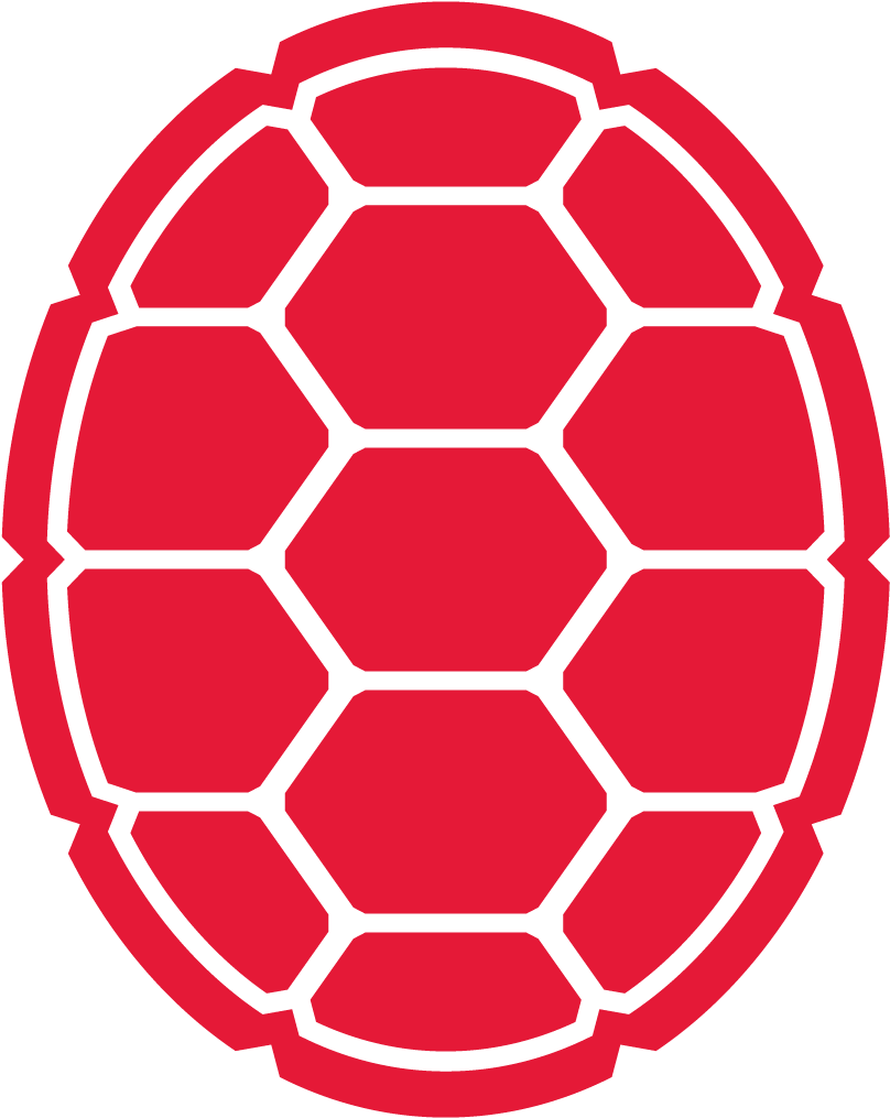 Download Stencil For Ninja Turtle Team - Ninja Turtle Shell Png ...