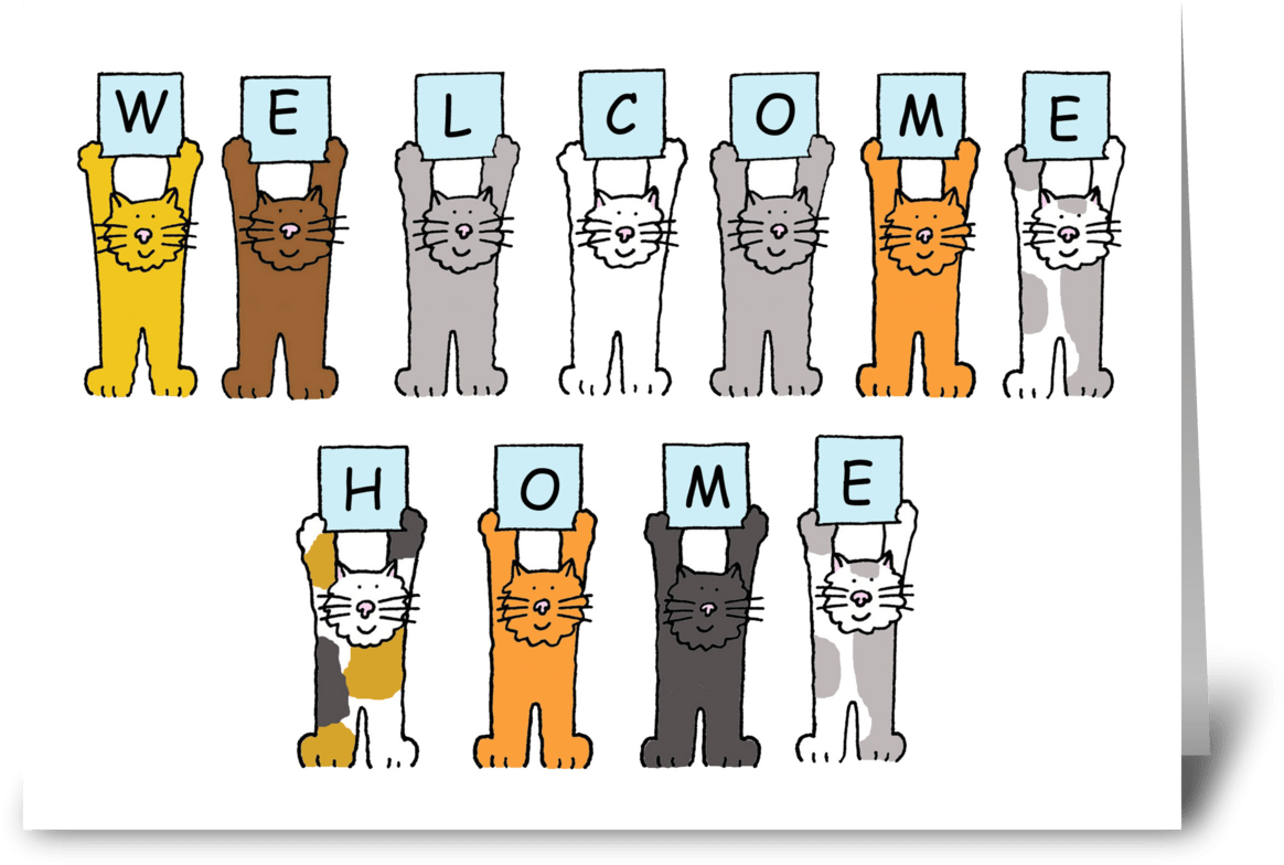 Download Welcome Home Cartoon Cats - Cat Well Done Cartoon - ClipartKey