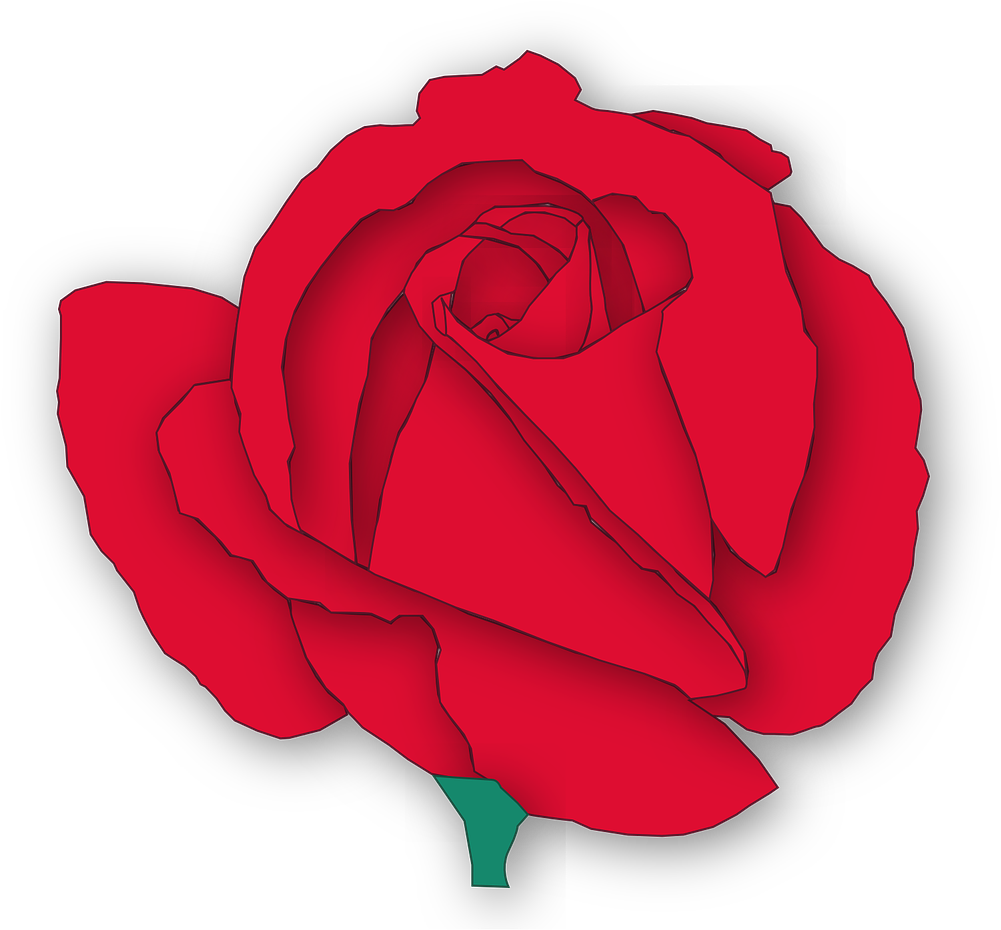 Download Red Rose - Cartoon Rose Transparent Background - ClipartKey