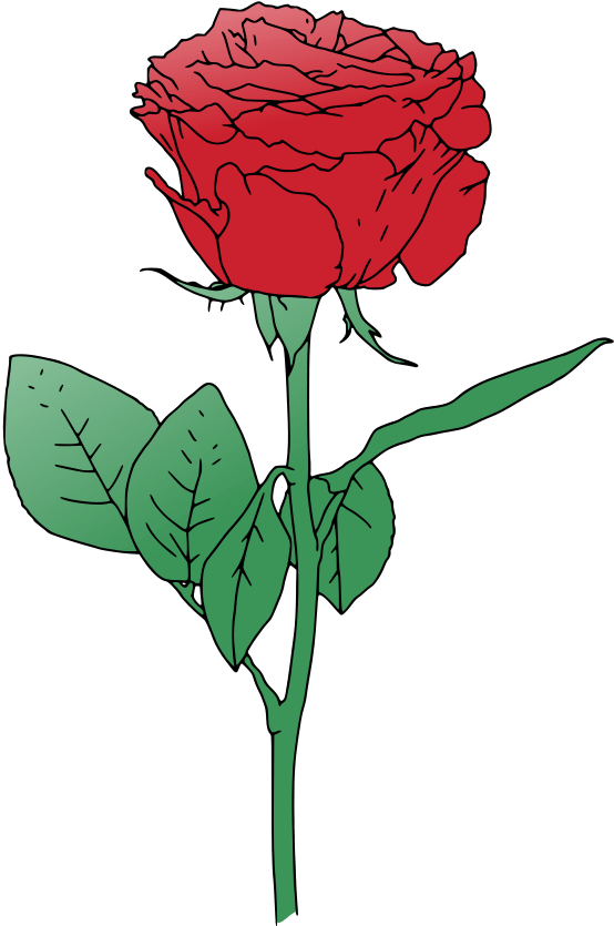 Download Single Red Rose Clip Art - Red Rose Vector Png - ClipartKey