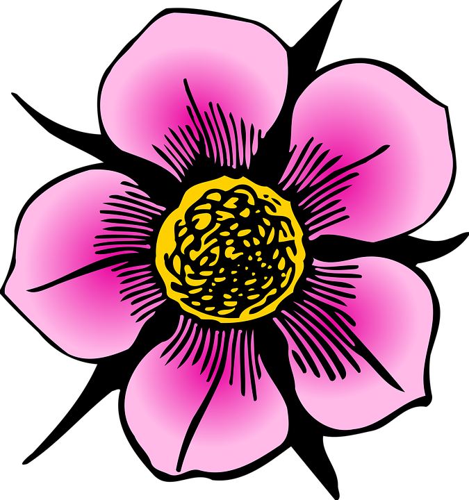 Download Collection Of Flower Petal Clipart - Flower Computer Drawing ...