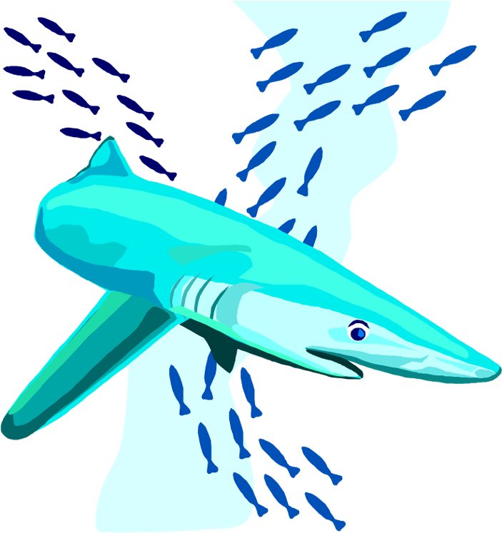 Download Free Shark Clipart - Clip Art - ClipartKey