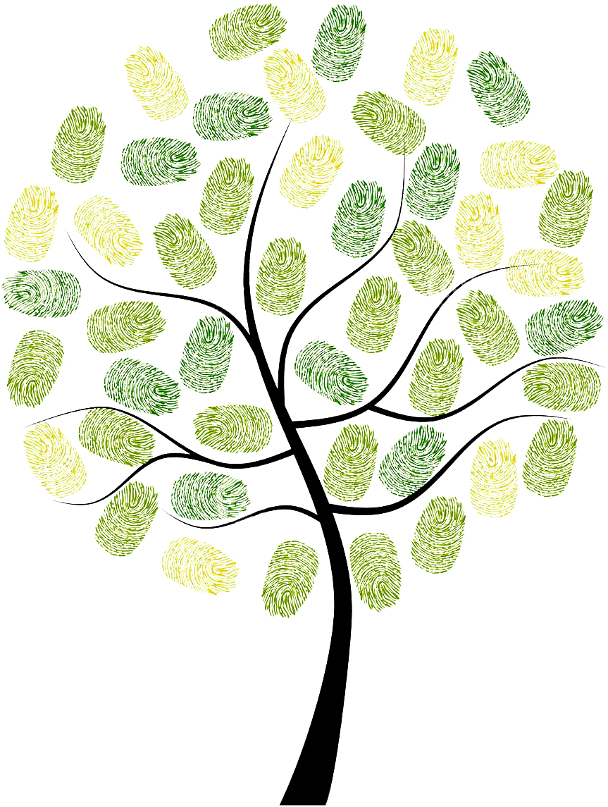 Download Fingerprint Owl Tree Digit Euclidean Vector - Fingerprint Tree ...