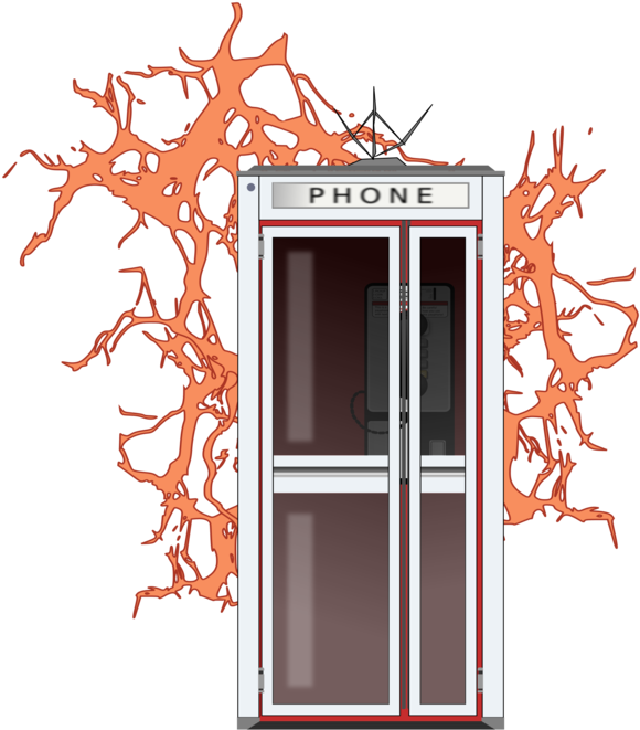 Download Door,tree,window - Bill And Ted Phone Booth Png - ClipartKey